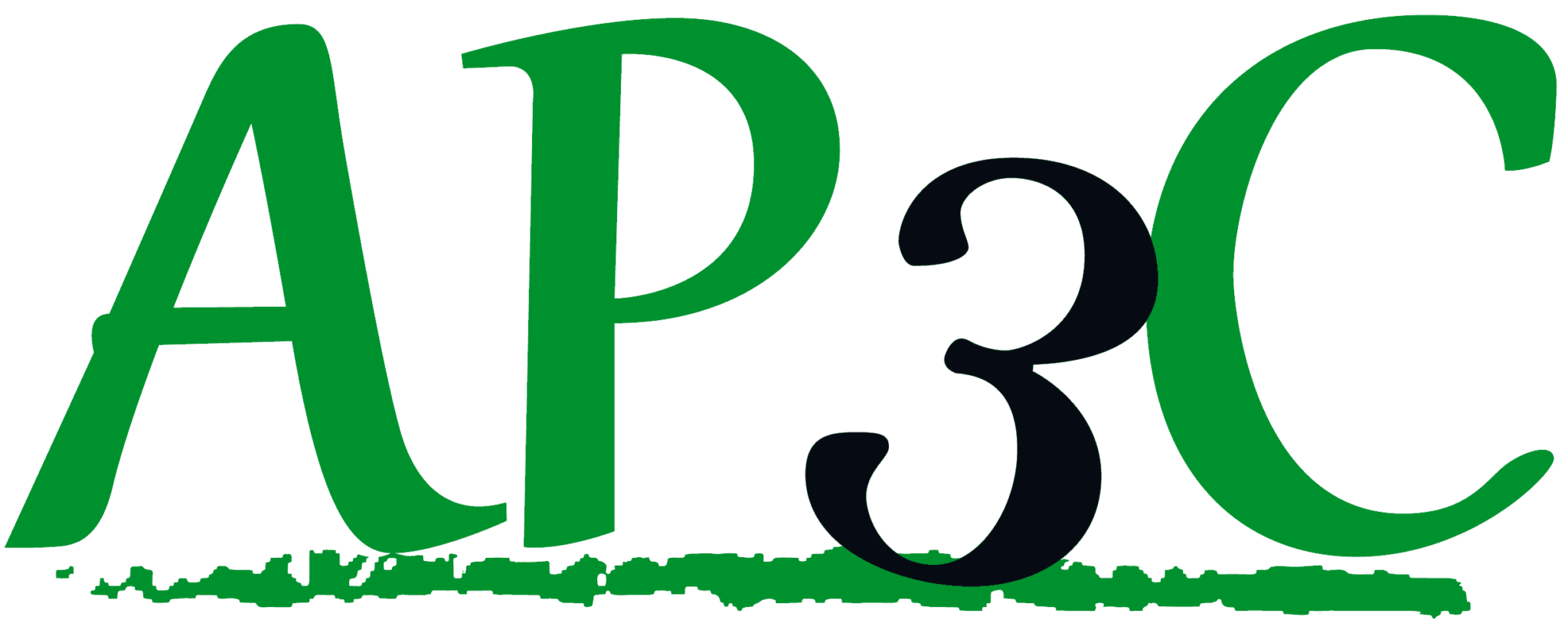 AP3C - Le SIDAM et la COPAMAC